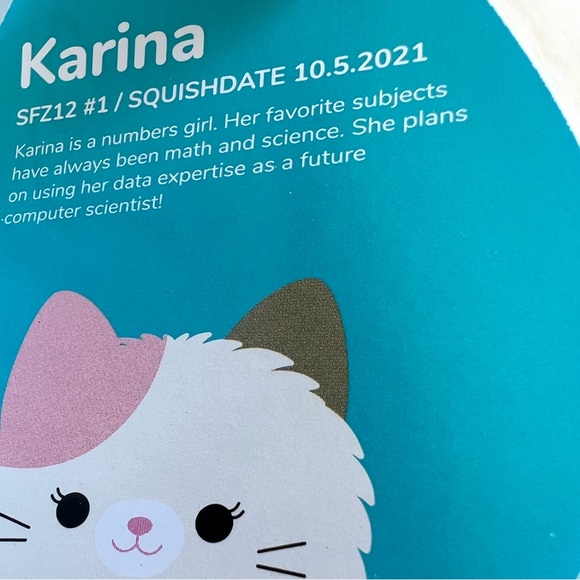 Squishmallows | Toys | 2 Fuzzy Karina The Cat Squishmallows Plush ...